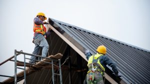 Zinc Roof Sheets and Roofing Options: An Out-and-out Guide for Builders ...